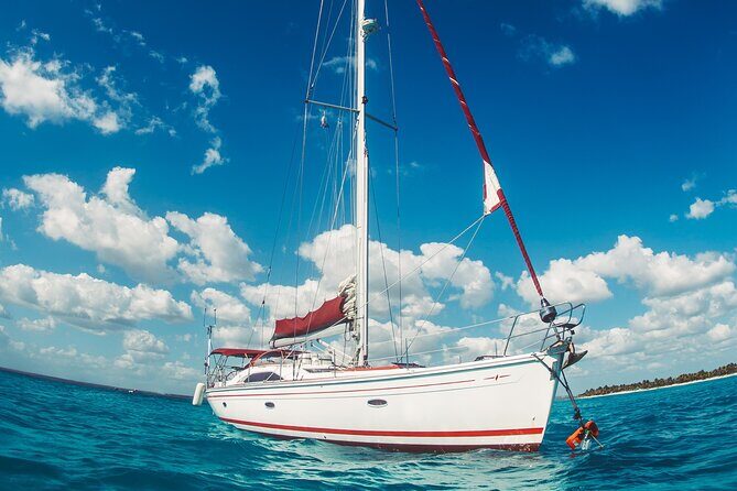 Saona Island Private VIP Sailing Yacht Tour - Who Is This Tour Best For?