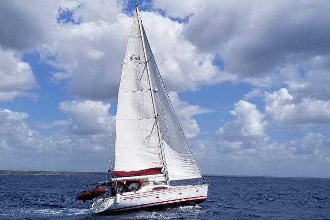 Saona Island Private VIP Sailing Yacht Tour - Final Thoughts