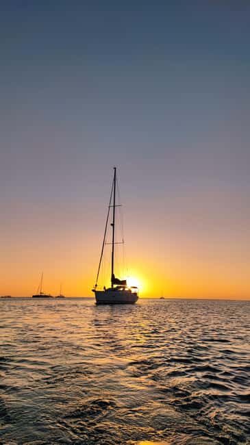 Saona Island: Private Yacht Tour with Lunch & Pickup - Who Would Love This Tour?