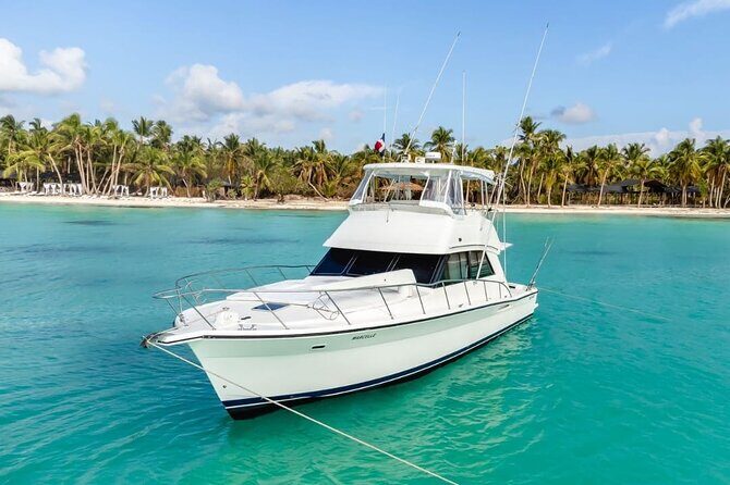 Saona Island: Private Yacht Tour with Snorkel in DR - Discover the Charm of the Saona Island: Private Yacht Tour with Snorkel in DR