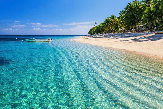 Saona Island : Punta Cana All Inclusive - Who Should Consider This Tour?