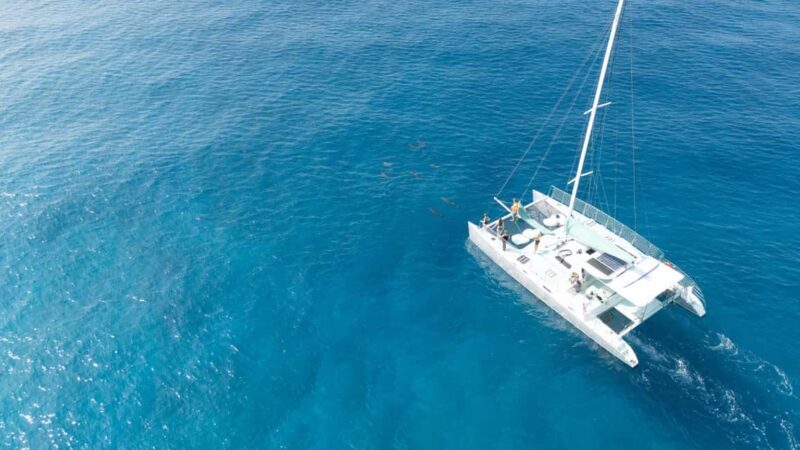 Saona Island: Punta Cana All-Inclusive - Who Should Consider This Tour?