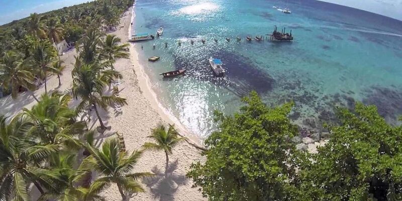 Saona Island: Relaxation Day Trip with Open Bar - Key Points