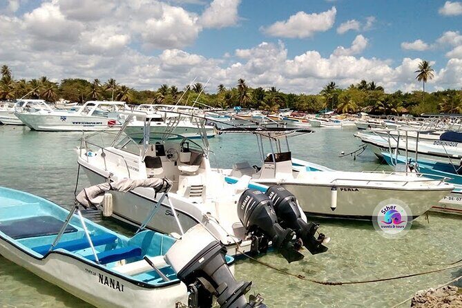 SAONA ISLAND - Rhythm, Rum & Radiant Beaches - PUNTA CANA - Final Thoughts: Who Should Consider This Tour?