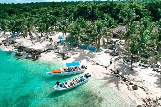 Saona Island Speedboat Tour with Lunch & Natural Pool Swim - Key Points