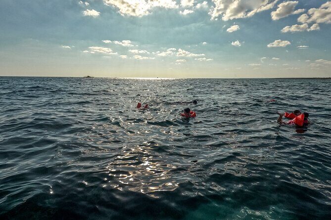 Saona Island Speedboat Tour with Lunch & Natural Pool Swim - Who Will Love This Tour?