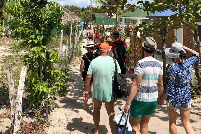 Saona Island Speedboat Tour with Lunch & Natural Pool Swim - The Sum Up