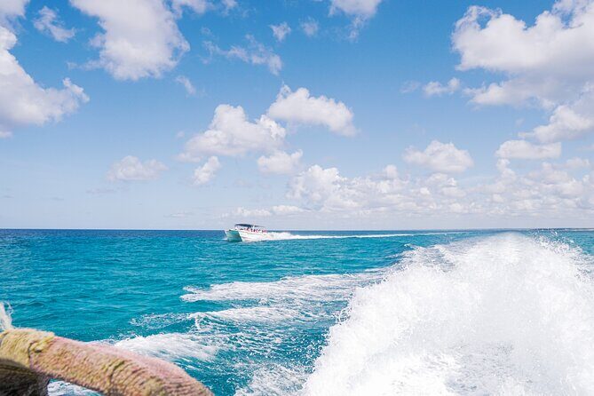 Saona Island Summer - The Sum Up