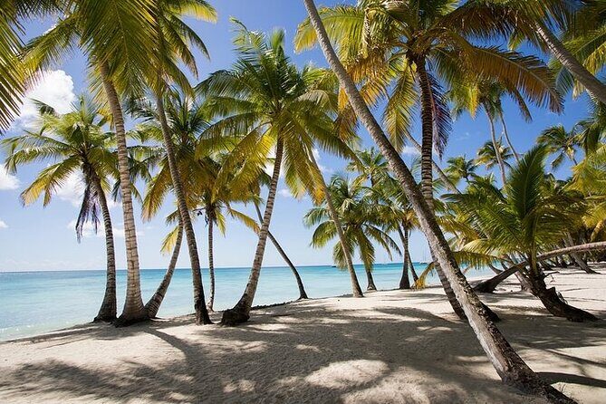 Saona Island Tour - Key Points