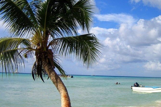 Saona Island Tour by Catamaran & Speedboat  Punta Cana - Key Points