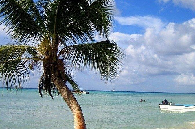 Saona Island Tour by Catamaran & Speedboat  Punta Cana - Is This Tour Right for You?