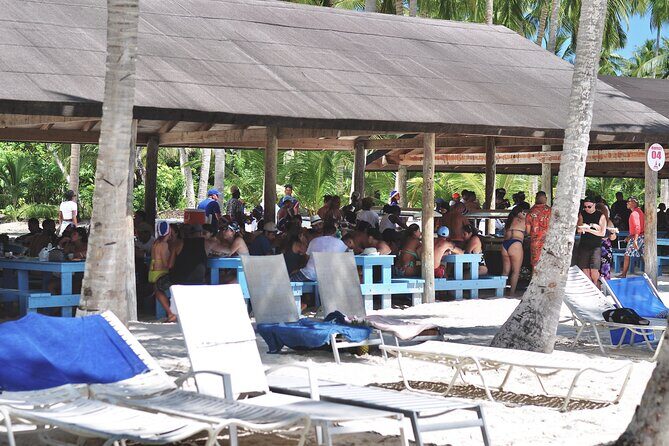 Saona Island Tour  Caribbean All Inclusive Escape - Who Would Enjoy This Tour?