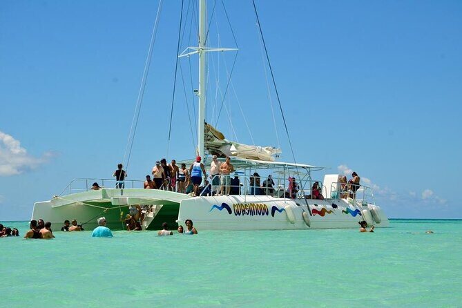 Saona Island Tour - What the Tour Includes and How It Works