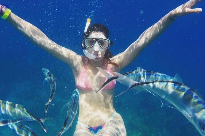 Saona Island Tour - Who Should Consider This Tour?