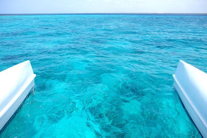 Saona Island Tour From Punta Cana - The Sum Up: Is the Saona Island Tour from Punta Cana Worth It?