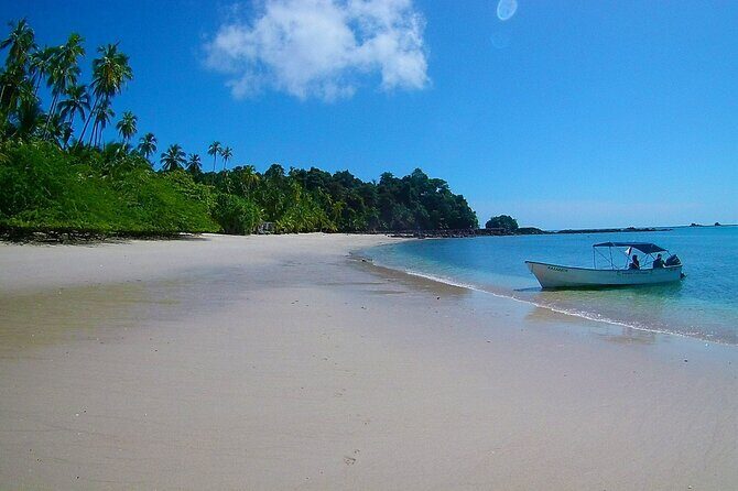 Saona Island Tour from Punta Cana with Lunch, Open Bar & Pickup - Comparing the Cost and Value