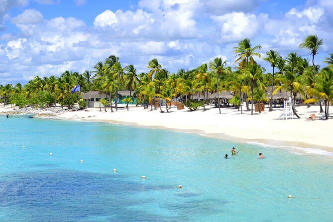 Saona Island Tour from Punta Cana with Lunch, Open Bar & Pickup - Who Is This Tour Best For?