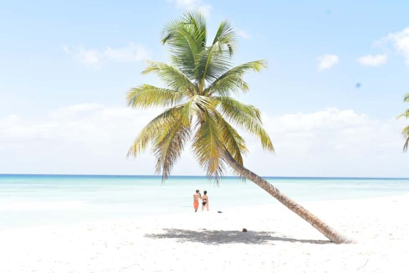 Saona Island Tour from Santo Domingo with Lunch - What to Expect on the Saona Island Tour