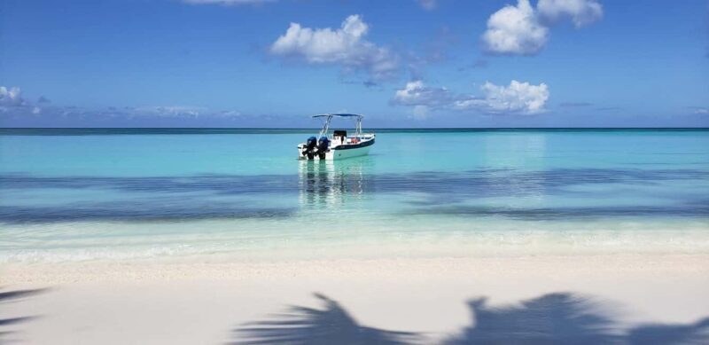 Saona Island Tour from Santo Domingo with Lunch - Who Should Consider This Tour?