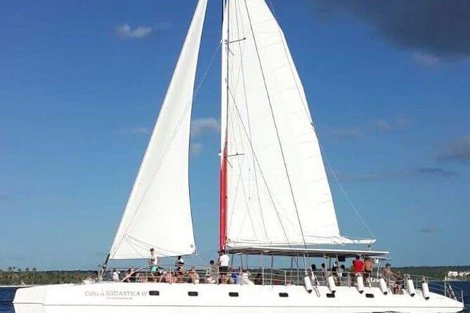 Saona Island Tour with Lunch and Open Bar - Who Will Love This Tour?