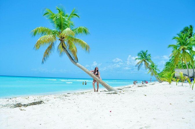 Saona Island Tour with Lunch and Open Bar - Final Thoughts