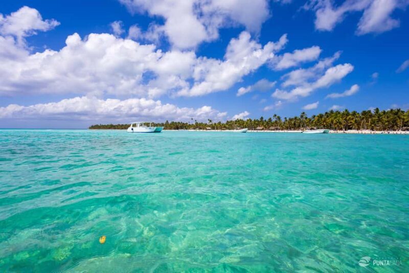 Saona Island Tour with Lunch and Open Bar - The Sum Up: Is It Worth It?