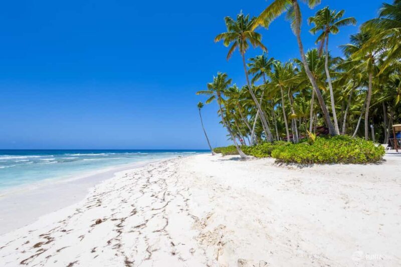 Saona Island Tour with Lunch and Open Bar - FAQ