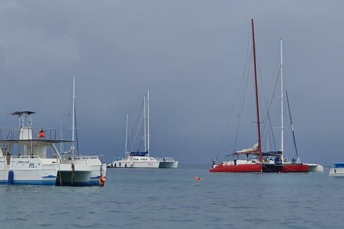 Saona Island Unforgettable Experience. !!! .. - Frequently Asked Questions (FAQs)