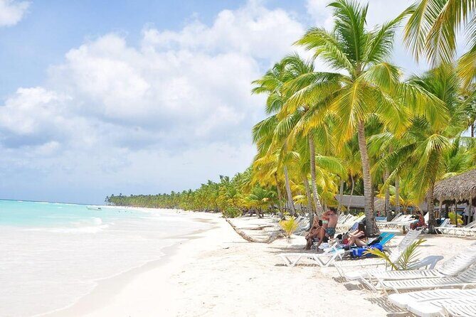 Saona Island VIP Experience  Private Boat for Up to 20 People - The Practicalities: Transport, Duration, and Cost