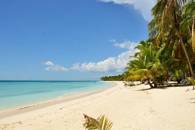 Saona Island VIP Experience  Private Boat for Up to 20 People - Who Should Consider This Tour?