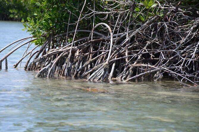 Saona, Mano Juan, Canto de la playa away from the tourist crowds - Introduction: Why This Tour Might Be Just Right