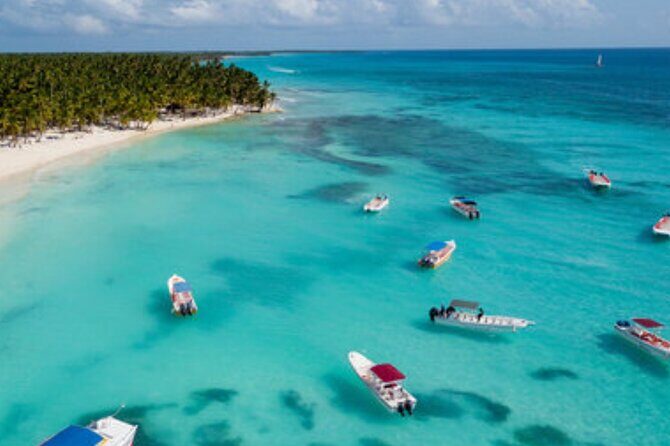 Saona Paradise Island : Catamaran, Natural Pool and Typical Lunch - What Travelers Are Saying (Based on Feedback)