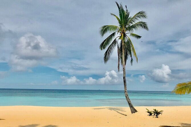 Saona Paradise Island : Catamaran, Natural Pool and Typical Lunch - Final Thoughts