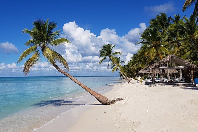 Saona Party Boat and Natural Pool from Cap Cana with Lobster - Who Will Love This Tour?