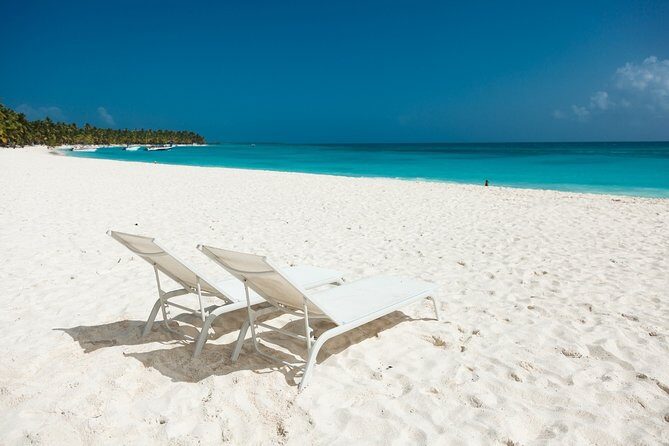 Saona Private Full-Day Tour from Punta Cana - Final Thoughts: Is It Worth the Price?