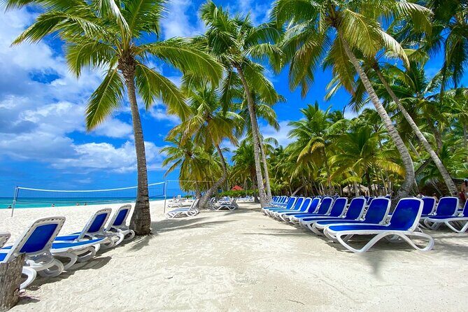 Saona Private Tour with Own Guide and Transport from Punta Cana - What Sets This Tour Apart?