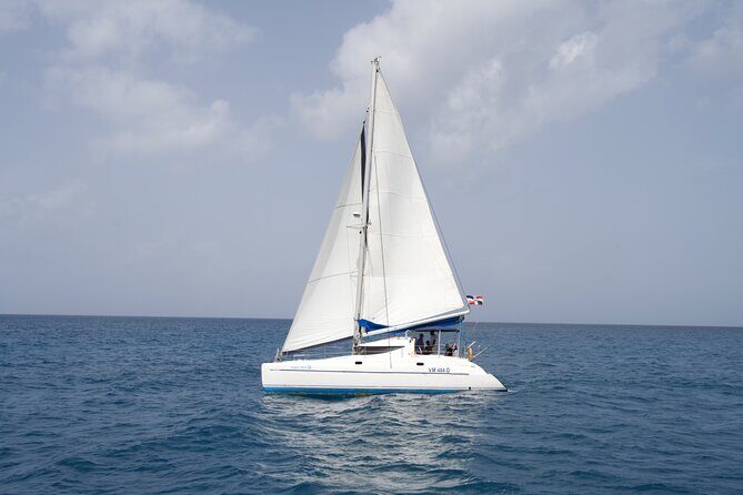 Saona Snorkel Private Cruise with Food and Drinks - A Full Breakdown of the Experience