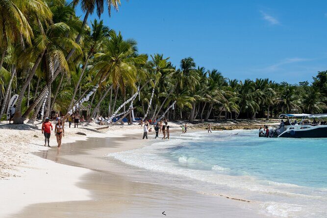 Saona Snorkel Private Cruise with Food and Drinks - What Makes This Tour Stand Out?