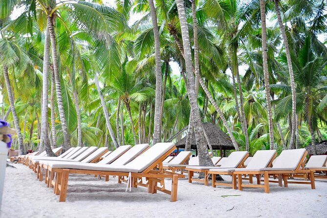 Saona Snorkel Private Cruise with Food and Drinks - FAQ