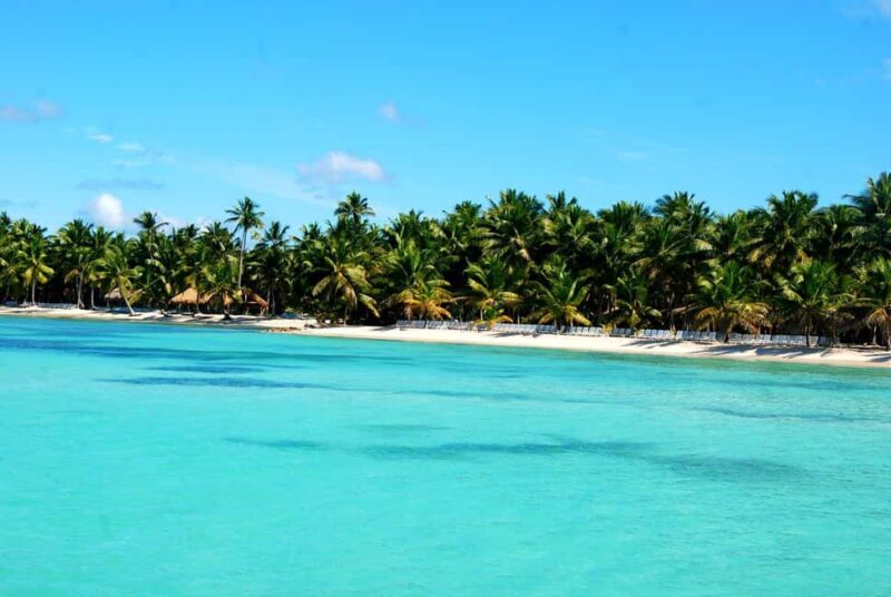 Saona Special Tour: 4 Beaches with Canto from Punta Cana - Key Points