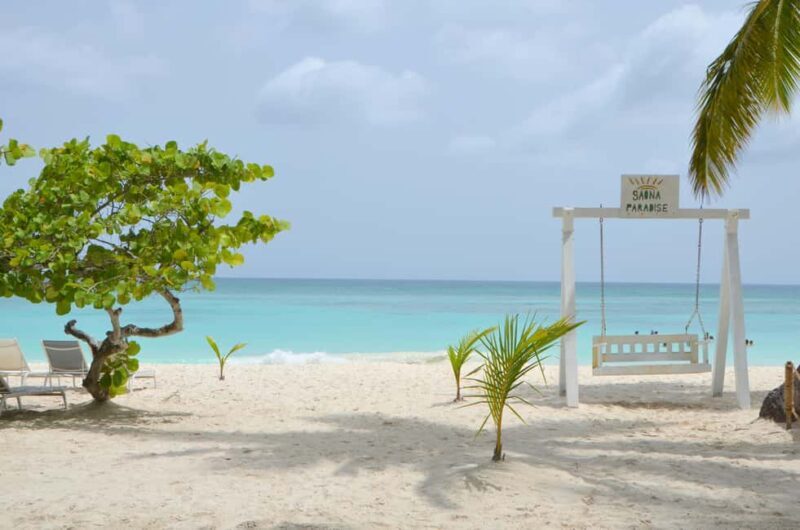 Saona Special Tour: 4 Beaches with Canto from Punta Cana - Food and Drinks: A Key Highlight