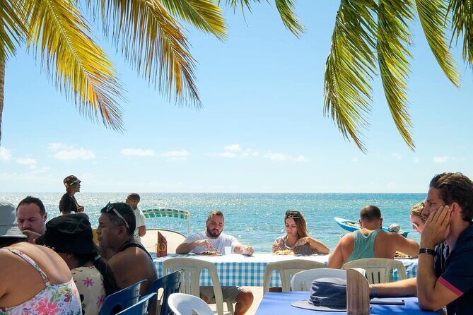 Saona VIP 3 Beaches, Natural Pool & Mano Juan Turtle Sanctuary - Final Summary