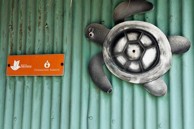 Saona VIP 3 Beaches, Natural Pool & Mano Juan Turtle Sanctuary - FAQs