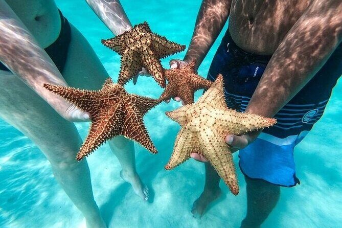 Saône Island: Tropical Paradise with Snorkeling and Lunch Included - An In-Depth Look at the Experience