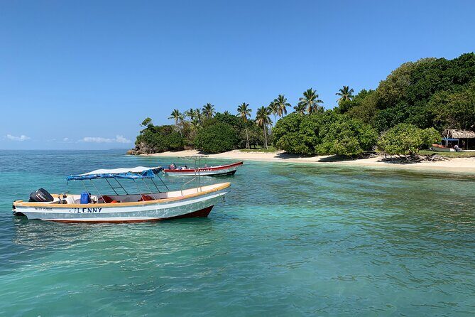 Saône Island: Tropical Paradise with Snorkeling and Lunch Included - The Sum Up