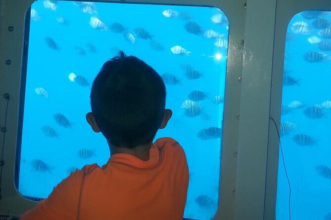 Saône Island with Semi Underwater and Snorkeling from Santo Domingo - Key Points