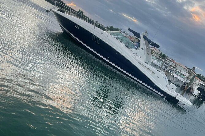 Saône VIP Island by Luxury Yacht - What Do Travelers Say?