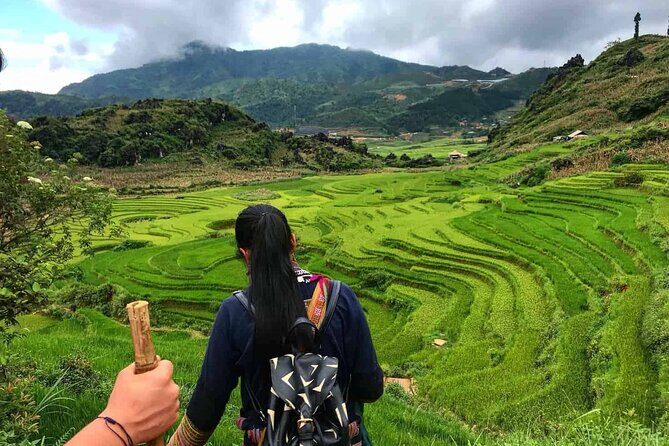 Sapa 1 Day Trekking - The Sum Up: Who Is This Tour Perfect For?