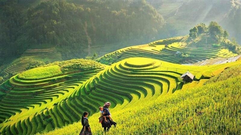 Sapa 1-Day trekking to Lao Chai-Ta van village - Key Points