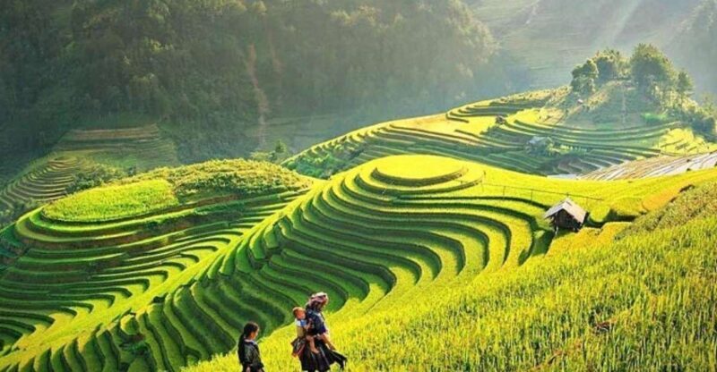 Sapa 1-Day trekking to Lao Chai-Ta van village - A Genuine Look at the Sapa 1-Day Trekking Tour
